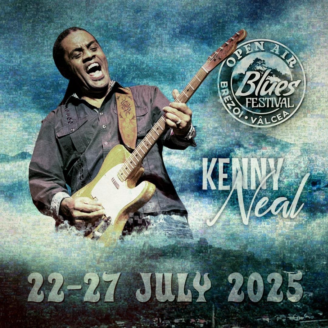 Home | Open Air Blues Festival Brezoi